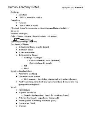 HUMB1001 Paid for notes. - MODULE ONE Control Systems - Nervous System ...