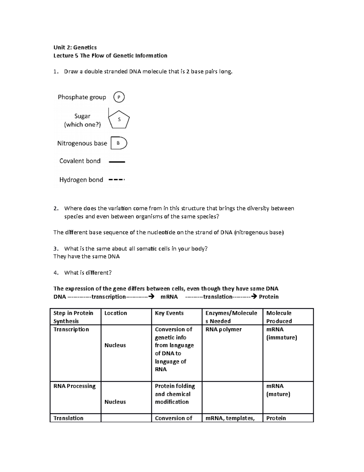 5 Outline The+Flow+of+Genetic+Information - Unit 2: Genetics Lecture 5 ...
