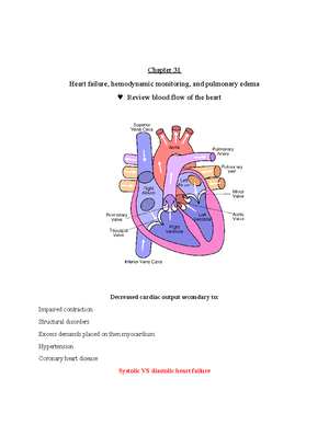 Respiratory Study Guide - NURS AH II: Respiratory Study Guide Chapter ...