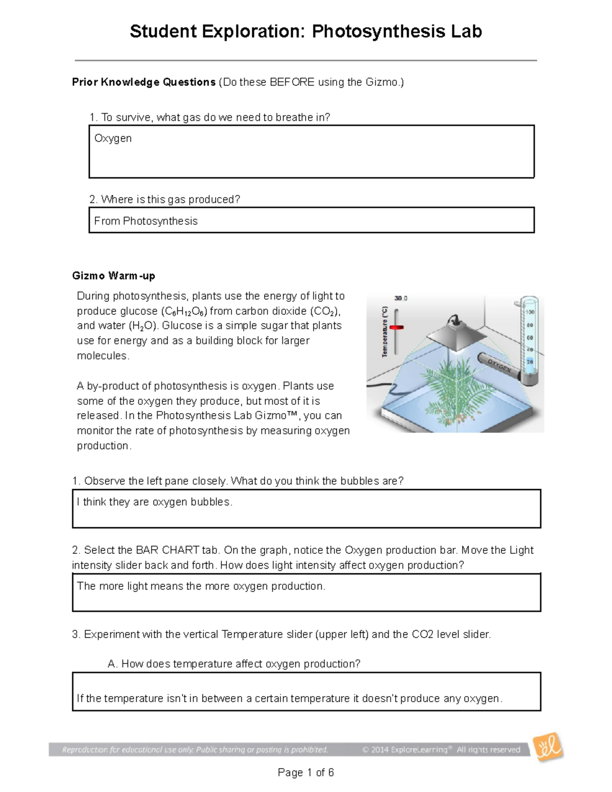 Copy of Student Exploration Photosynthesis Lab - Prior Knowledge ...