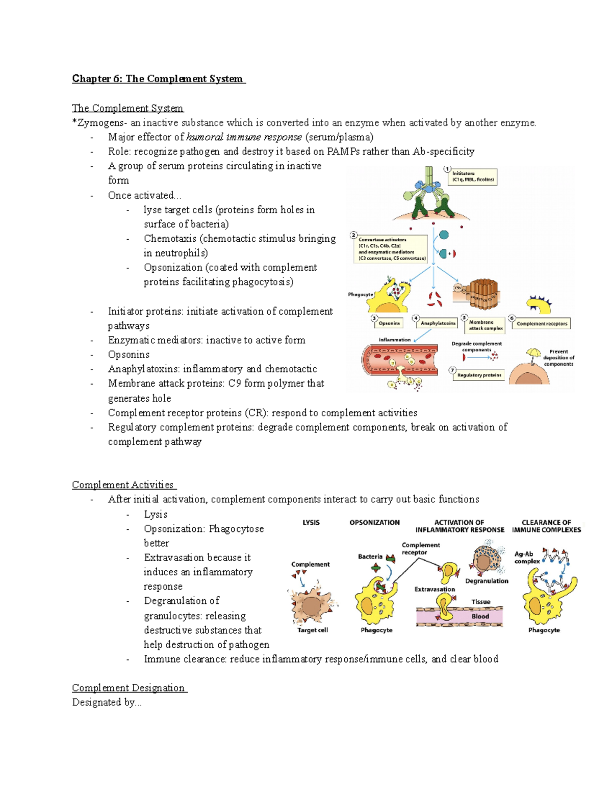 Chapter 6 The Complement System - C hapter 6: The Complement System The ...