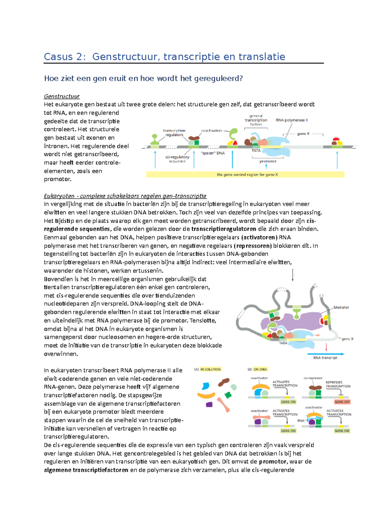 Casus 2 Transcriptie en translatie - Casus 2: Genstructuur ...