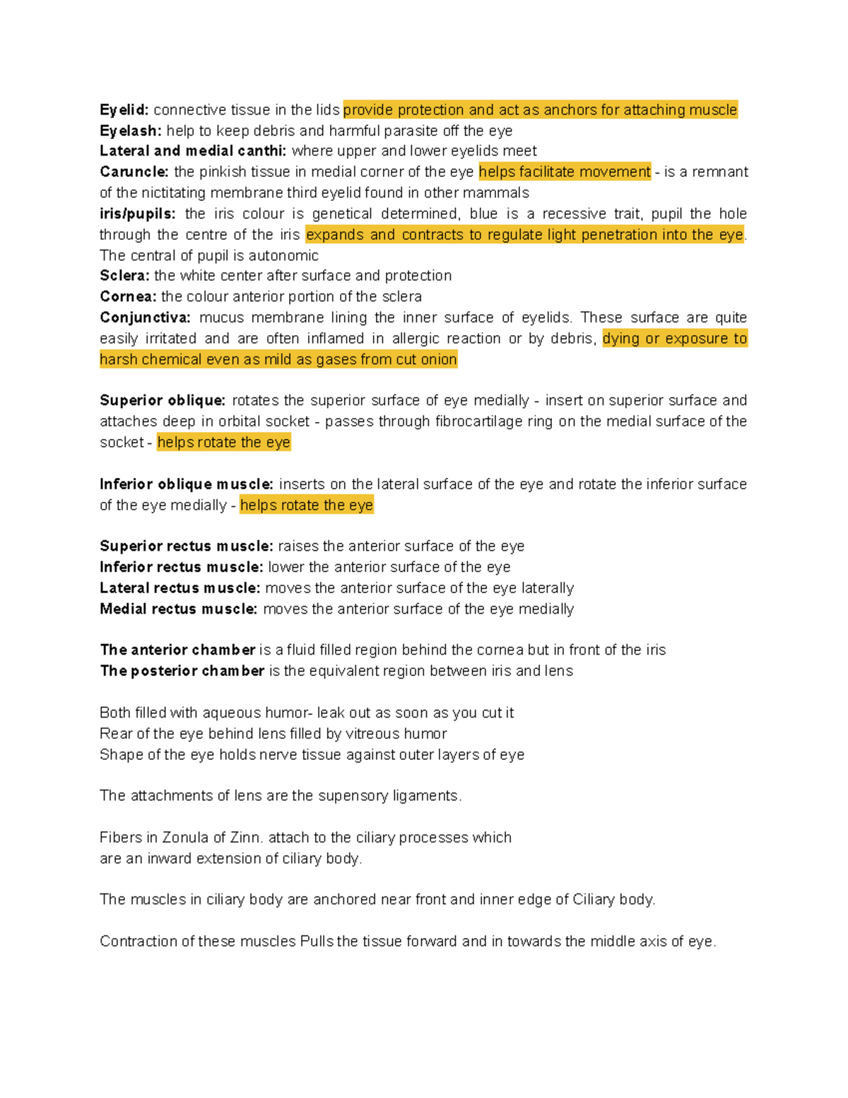 Eye lab - Answer key - Eyelid: connective tissue in the lids provide ...