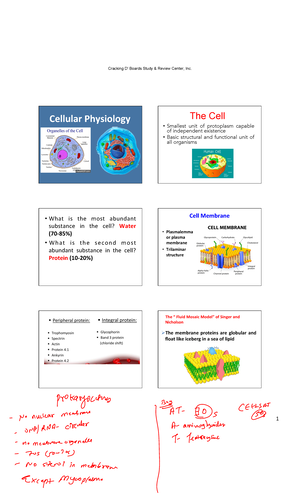 Bacte poster - summary - Reference: Riedel, S., Morse, S., Mietzner, T ...