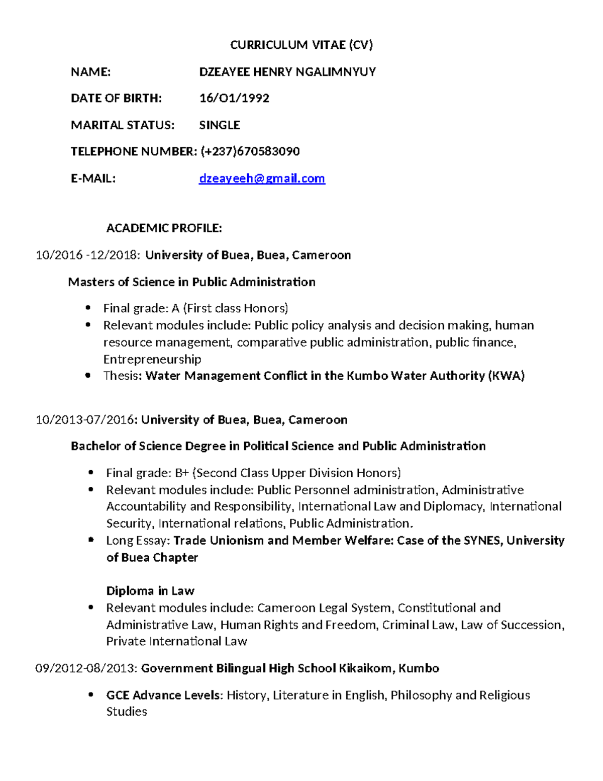 Thé story of Henry who who is an entrepreneur - CURRICULUM VITAE (CV ...