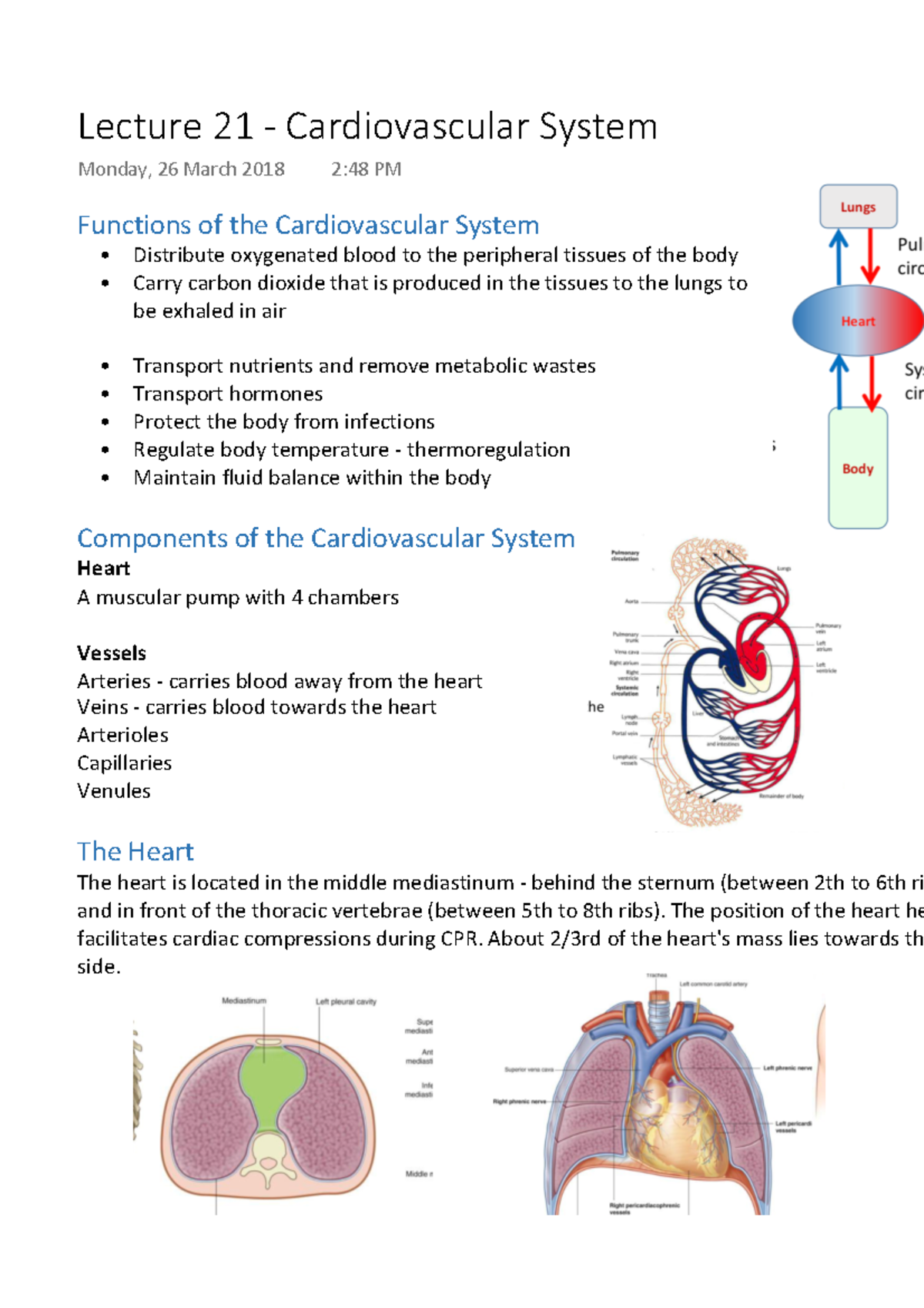 Lecture 21 - Cardiovascular System - Warning: TT: undefined function: 32 Functions of the - Studocu
