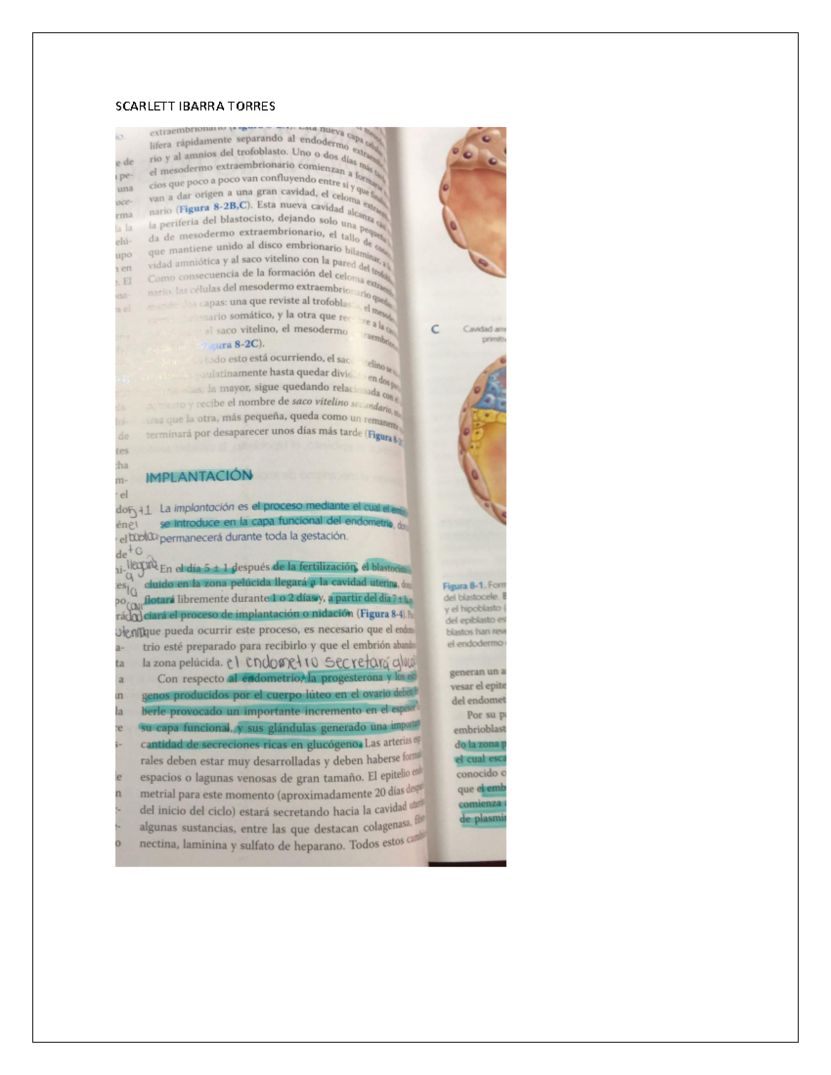 Esthe Stttt - JSDJASKJA - Medicina - SCARLETT IBARRA TORRES - Studocu