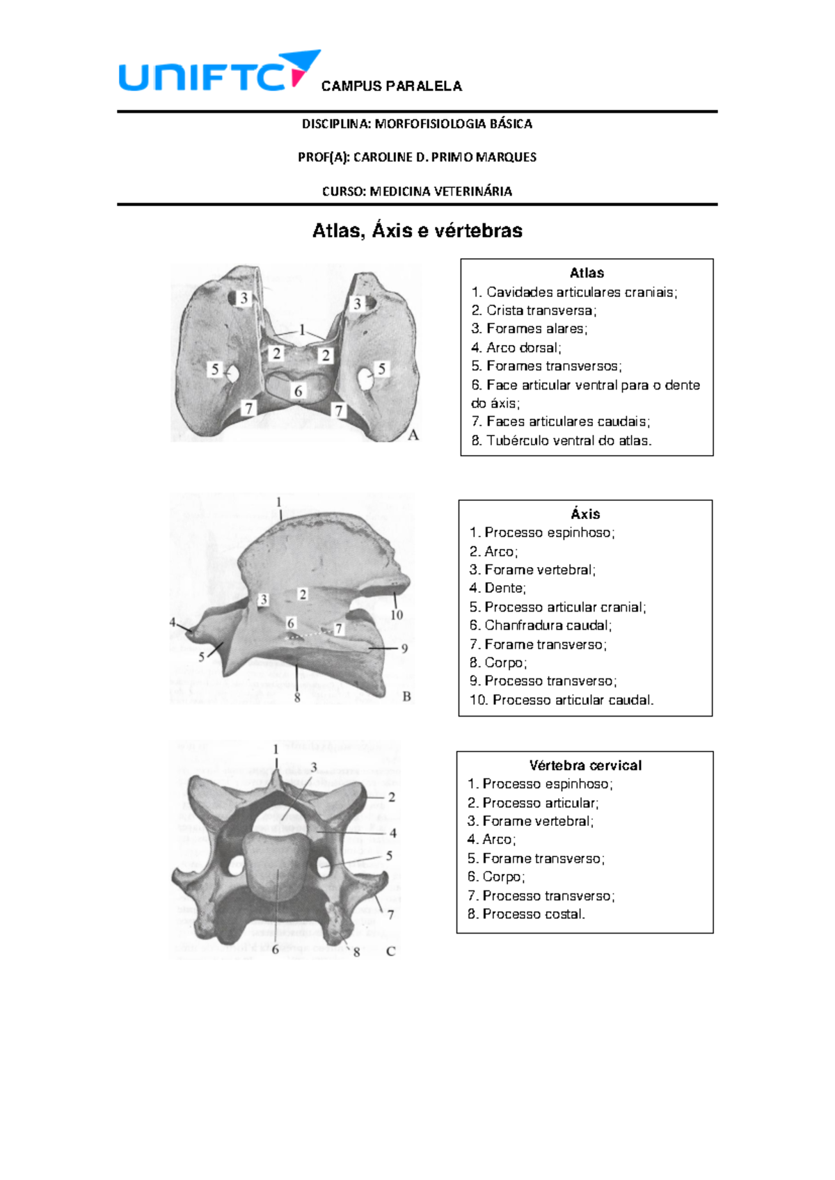 Aula 10 - Atlas, ÁXIS E Vertebras - DISCIPLINA: MORFOFISIOLOGIA BÁSICA ...