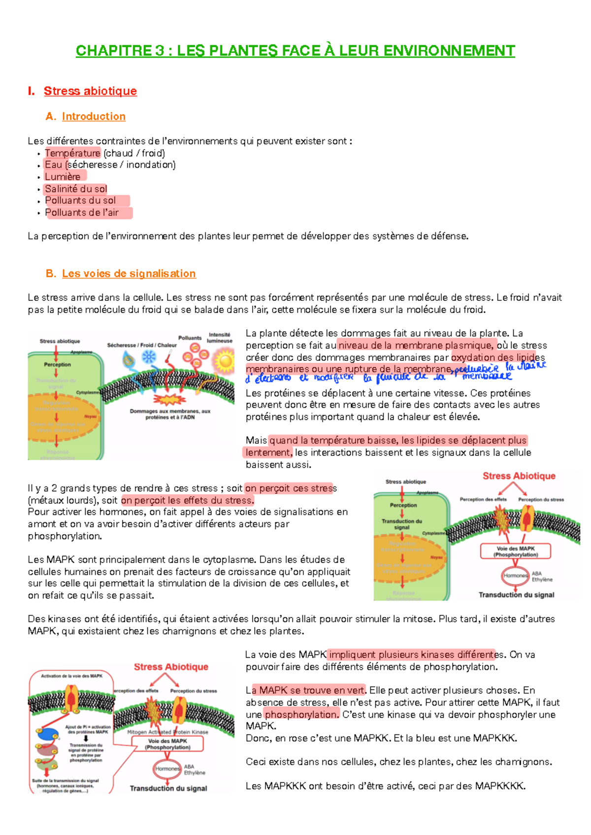 Chapitre 3 - Les plantes face à leur environnement 240427 170243 ...