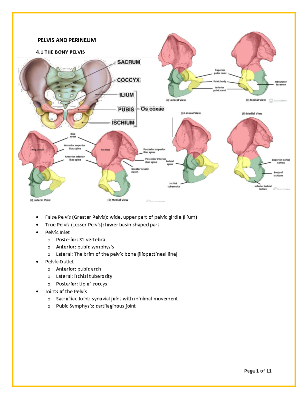 Pelvis AND Perineum - a summary of the study outcomes of the study ...