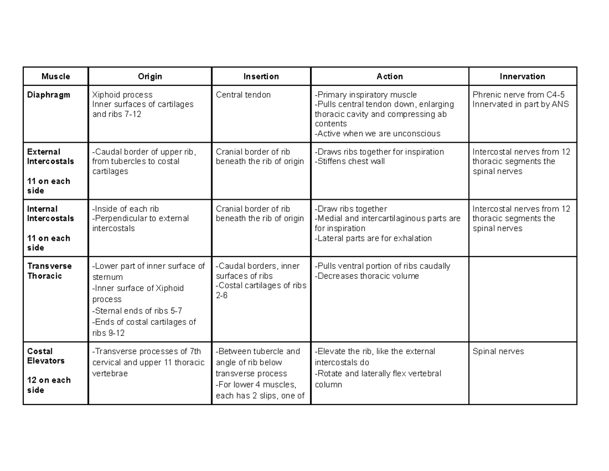 Muscle Chart - Taught by Dr. Charles Larson - Muscle Origin Insertion ...