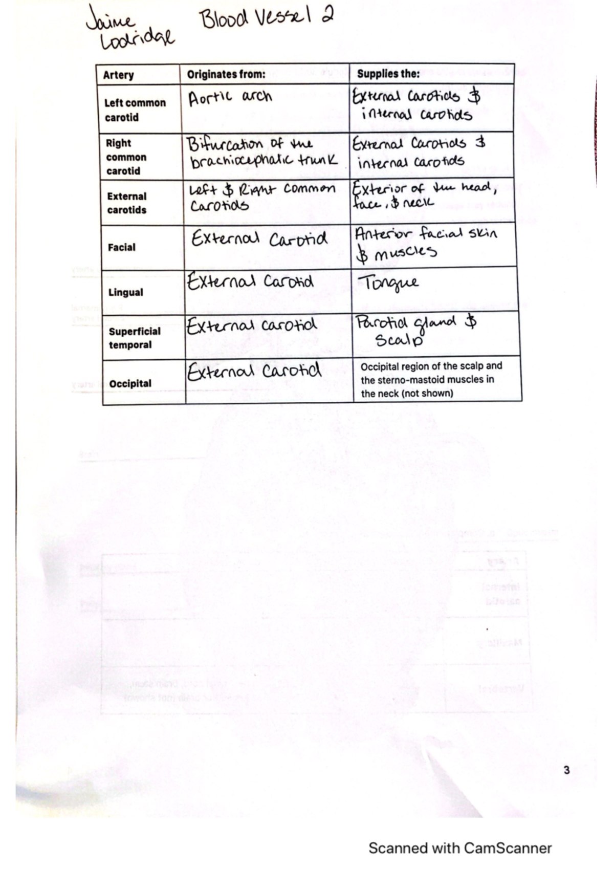 Jaime Lodridge Blood Vessel 2 - BIOL 1162 - LSU of Alexandria - Studocu