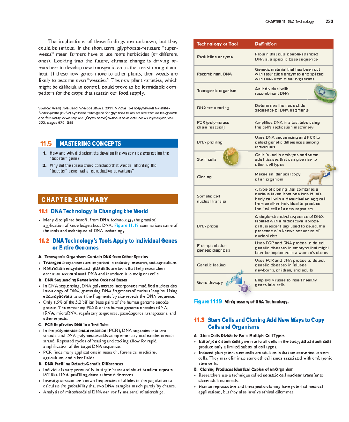 Biology Concepts and Investigations, Chapter Eleven Review - The ...