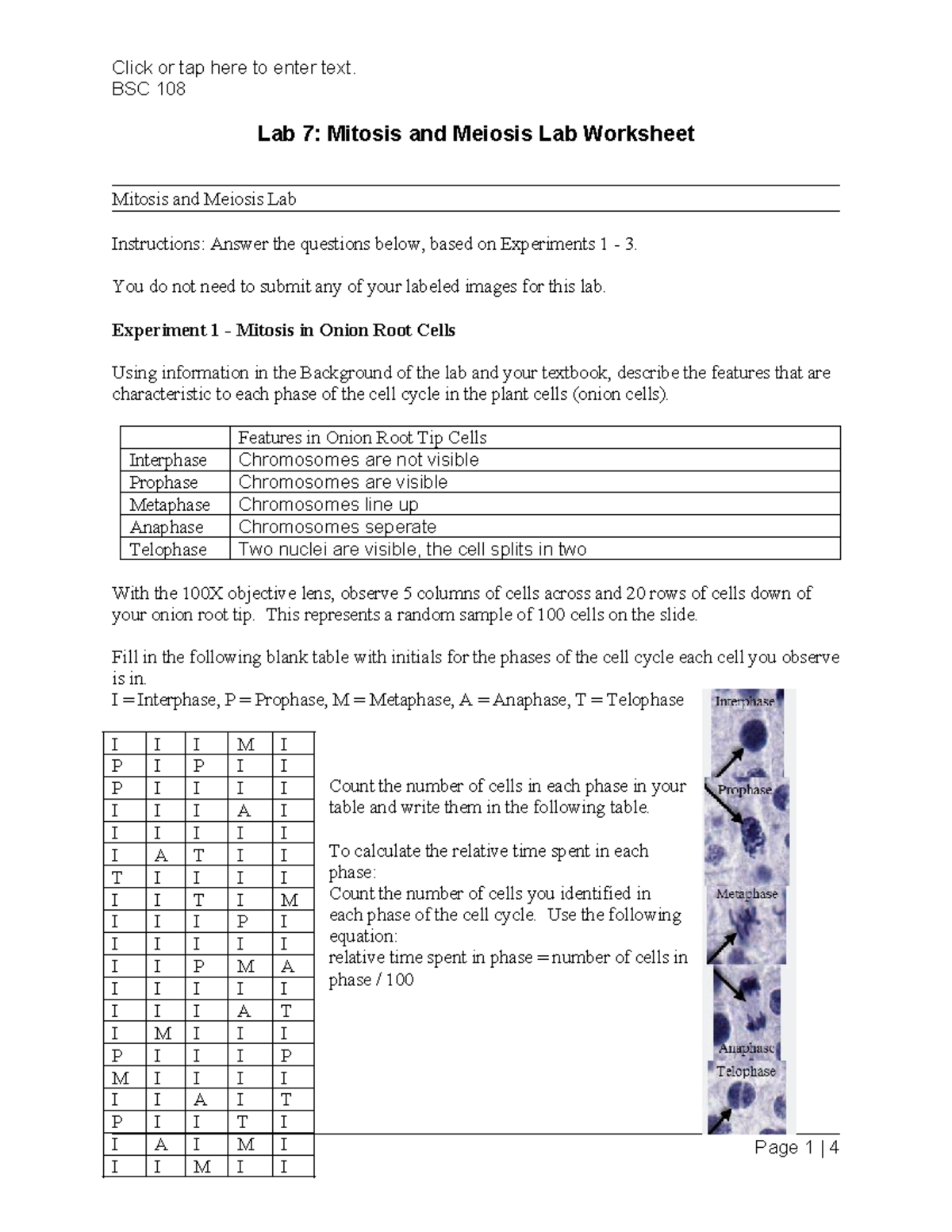 Lab 7 - lab 7 - BSC 108 Lab 7: Mitosis and Meiosis Lab Worksheet ...