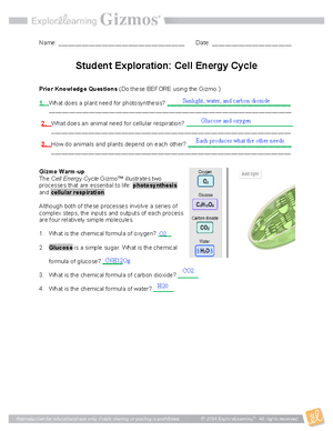 Cycles of Matter Worksheet - Name Class Date //___ Cycles of Matter ...