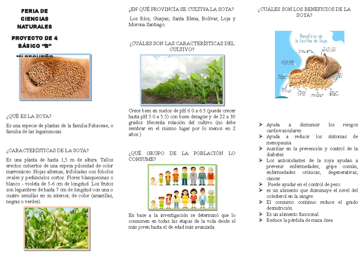 Triptico DE LA Feria DE Ciencias Natureales Ethan - ¿QUÉ ES LA SOYA? Es una especie de plantas ...