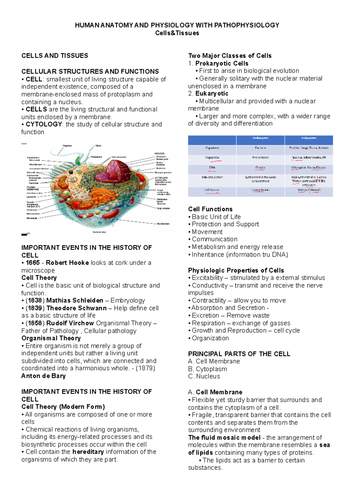 Detailed reviewer for Cells and Tissues- Anatomy - Cells&Tissues CELLS ...
