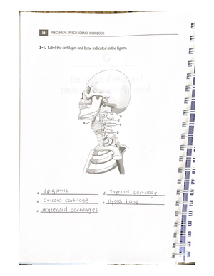 Preclinical Speech Science Workbook 3 C S D 3210 Studocu
