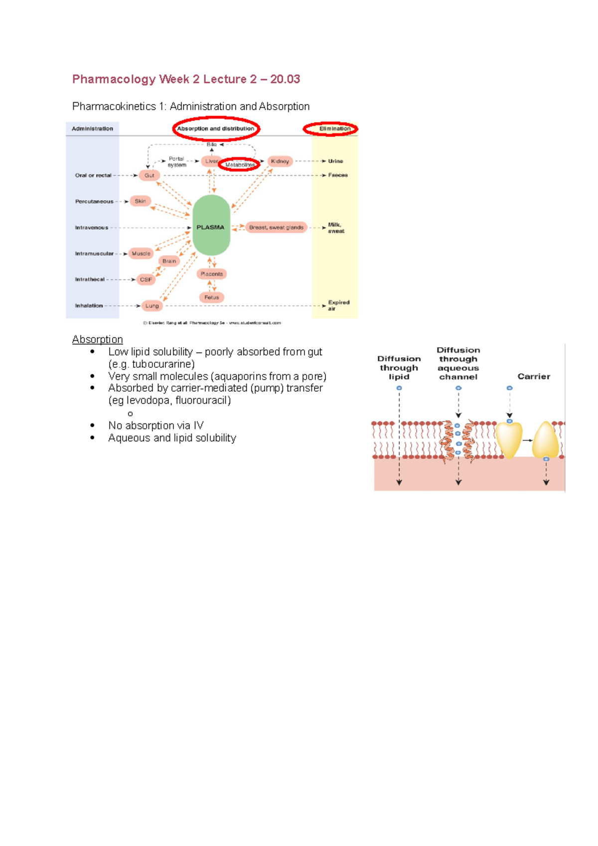 Pharmacology Notes - Pharmacology Week 2 Lecture 2 – 20 ...