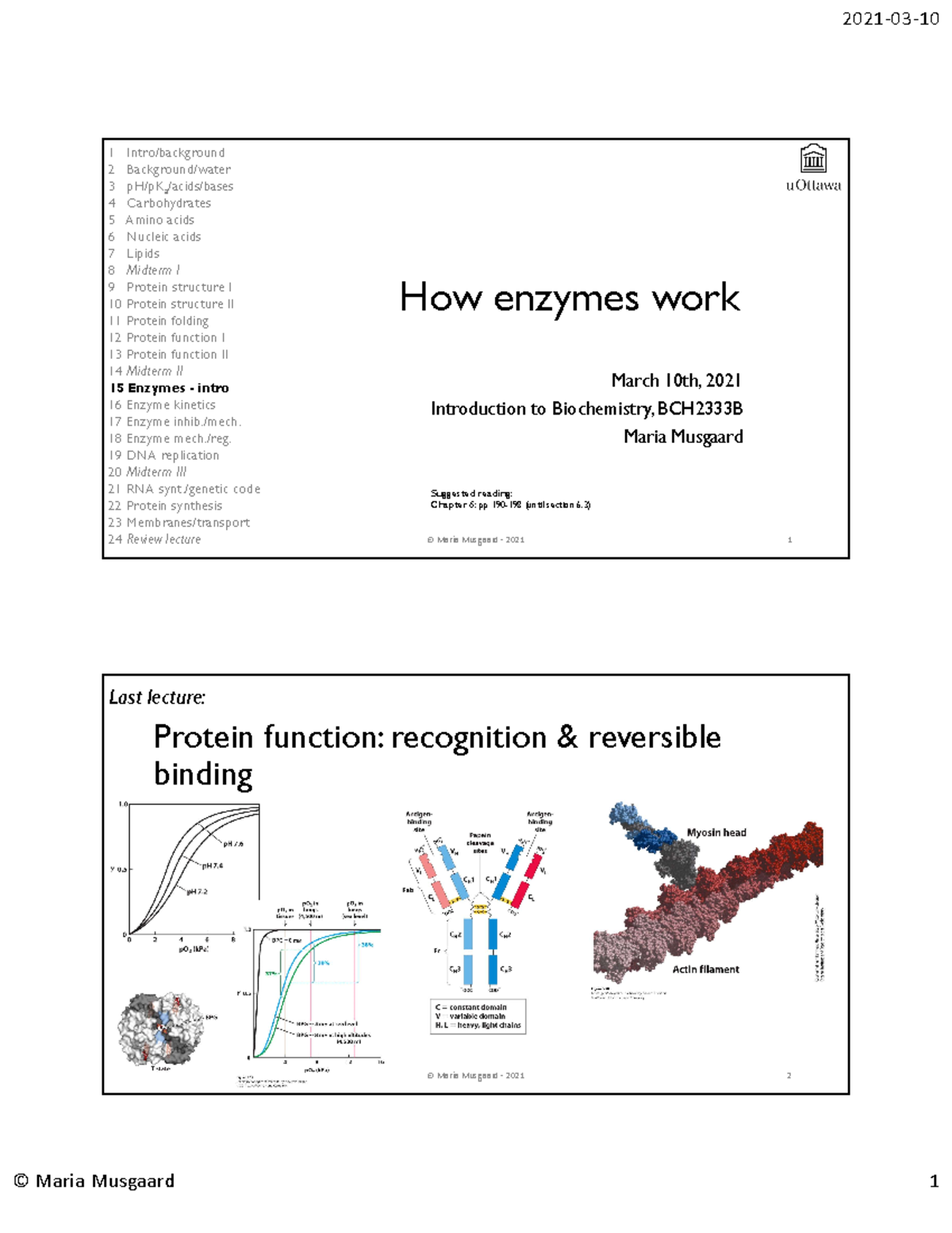 Lecture 15 handouts - How enzymes work Suggested reading: Chapter 6: pp ...