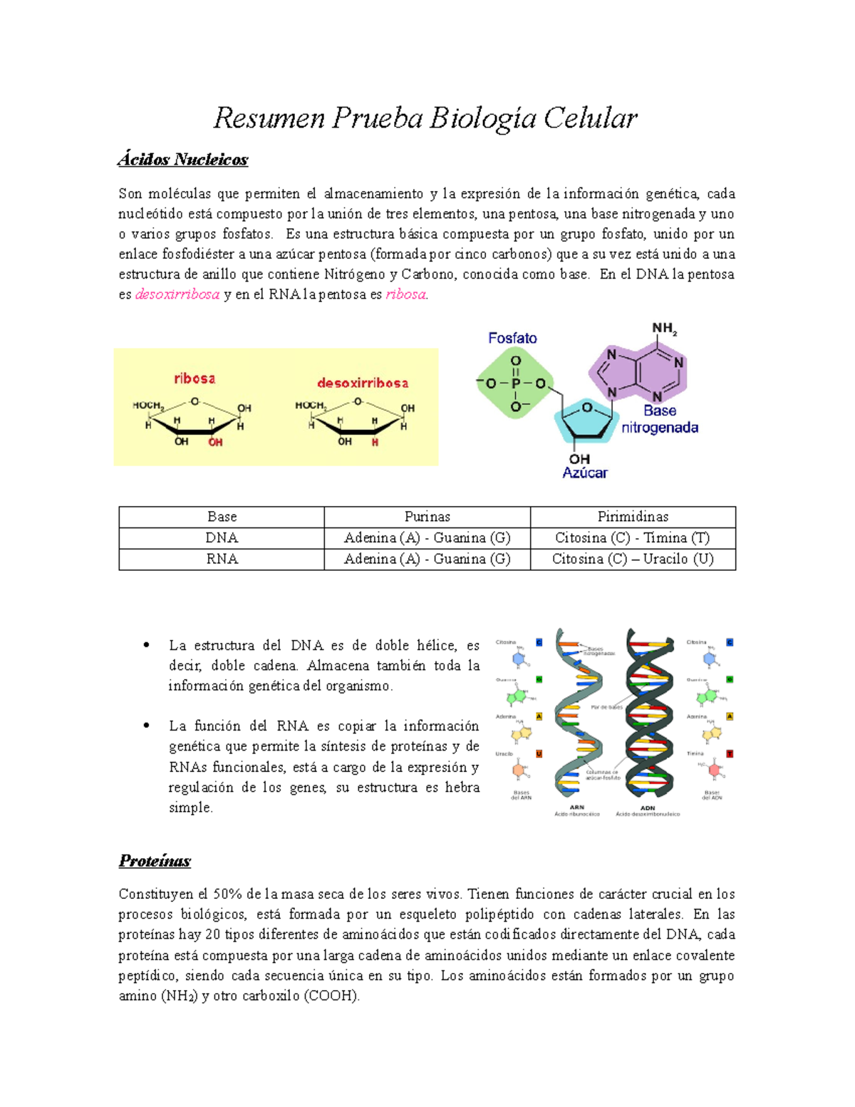 Resumen biocel - Resumen Prueba Biología Celular Ácidos Nucleicos Son moléculas que permiten el ...