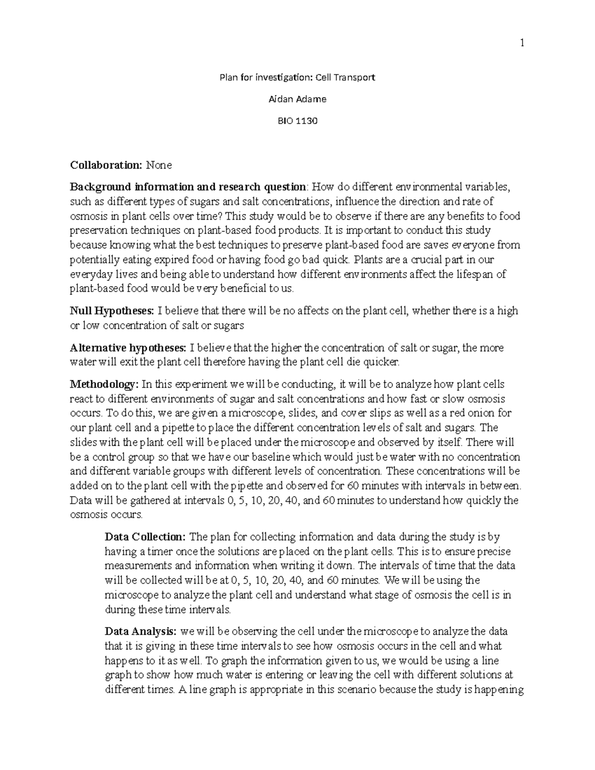 Plan for investigation cell transport - 1 Plan for investigation: Cell ...