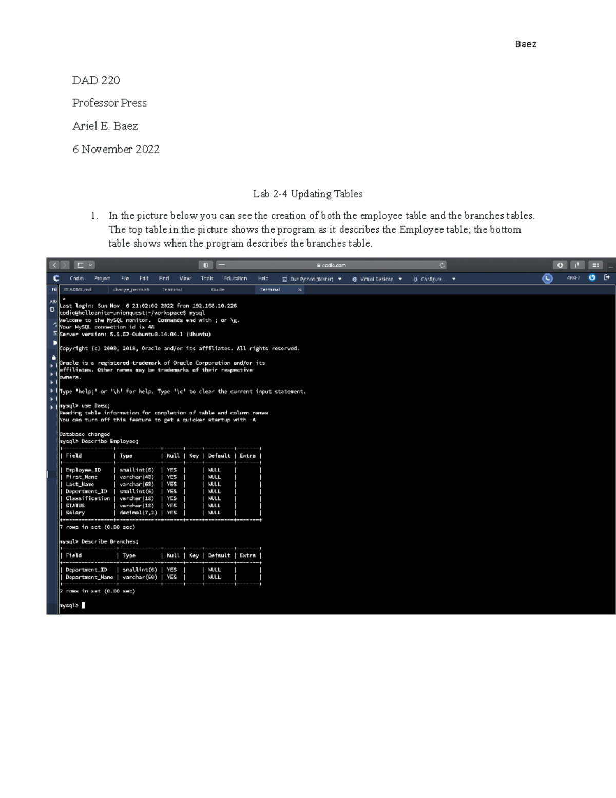 Lab 2 - Lab for week 2 - DAD 220 Professor Press Ariel E. Baez 6 November 2022 Lab 2-4 Updating ...
