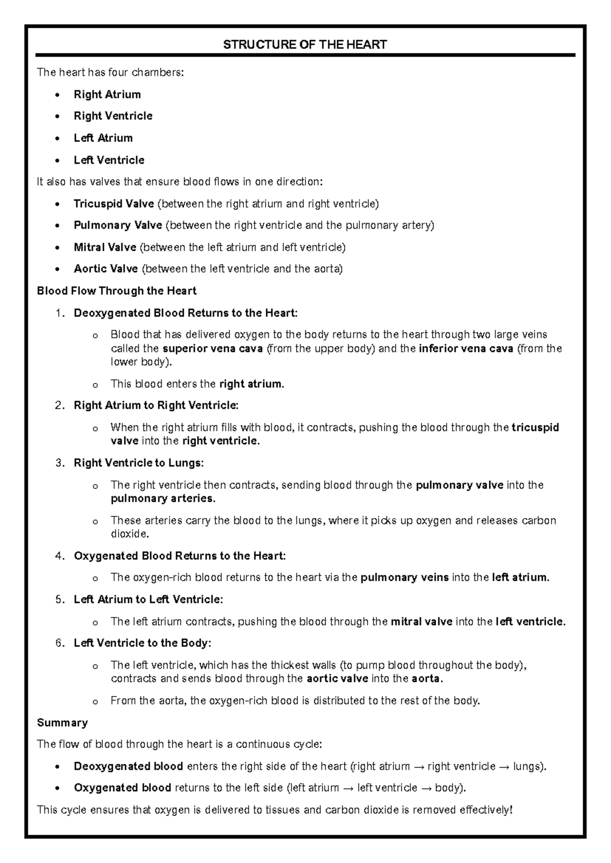 THE Human Circulatory System - STRUCTURE OF THE HEART The heart has ...