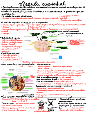 Somestesia do sistema nervoso - SOMESTESIA Somestesia - O que é? A ...