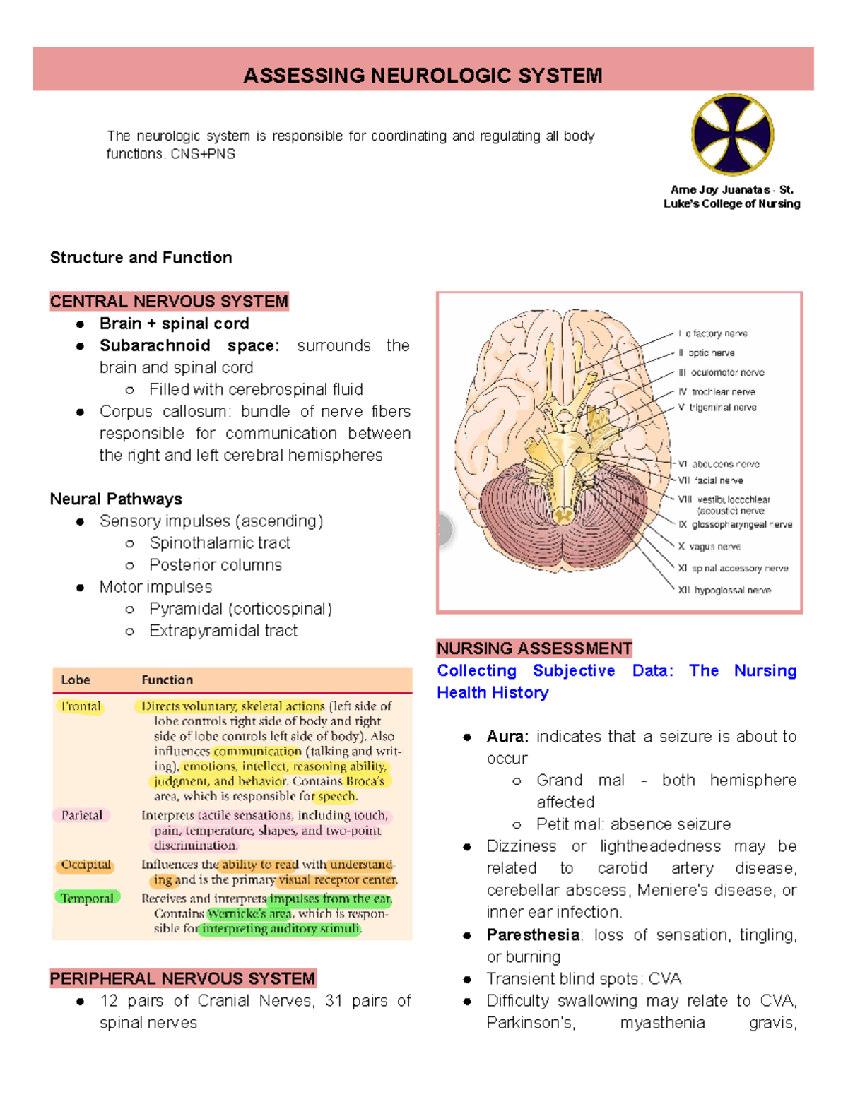 Neuro assessment - Structure and Function CENTRAL NERVOUS SYSTEM Brain ...