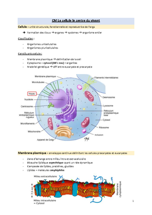 Cours Sur Les Cellules _ Différence Entre Cellule Et Animal – ZZGH