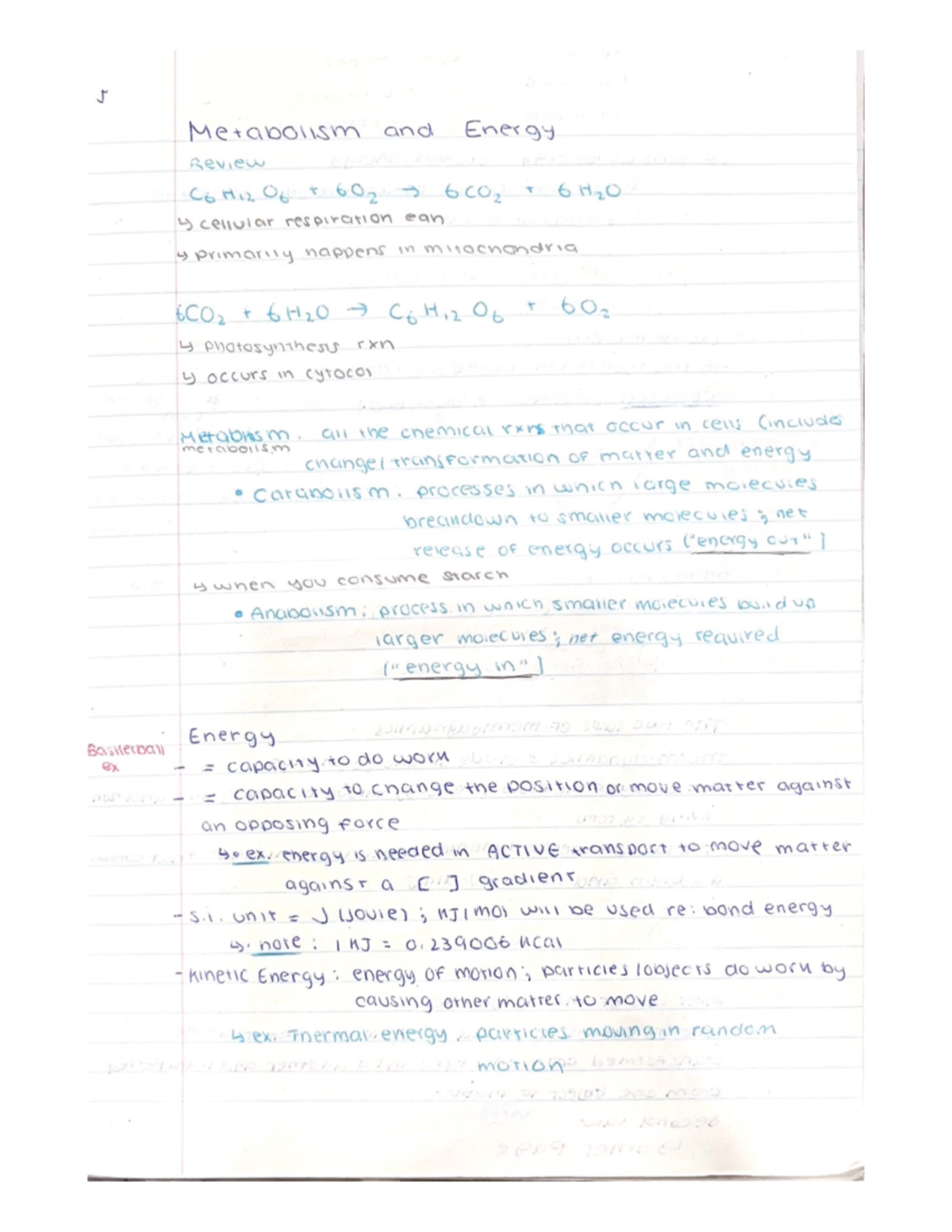 Bio ch3 - Notes for chapter 3 Nelson textbook - 5 Metabolism and Energy ...