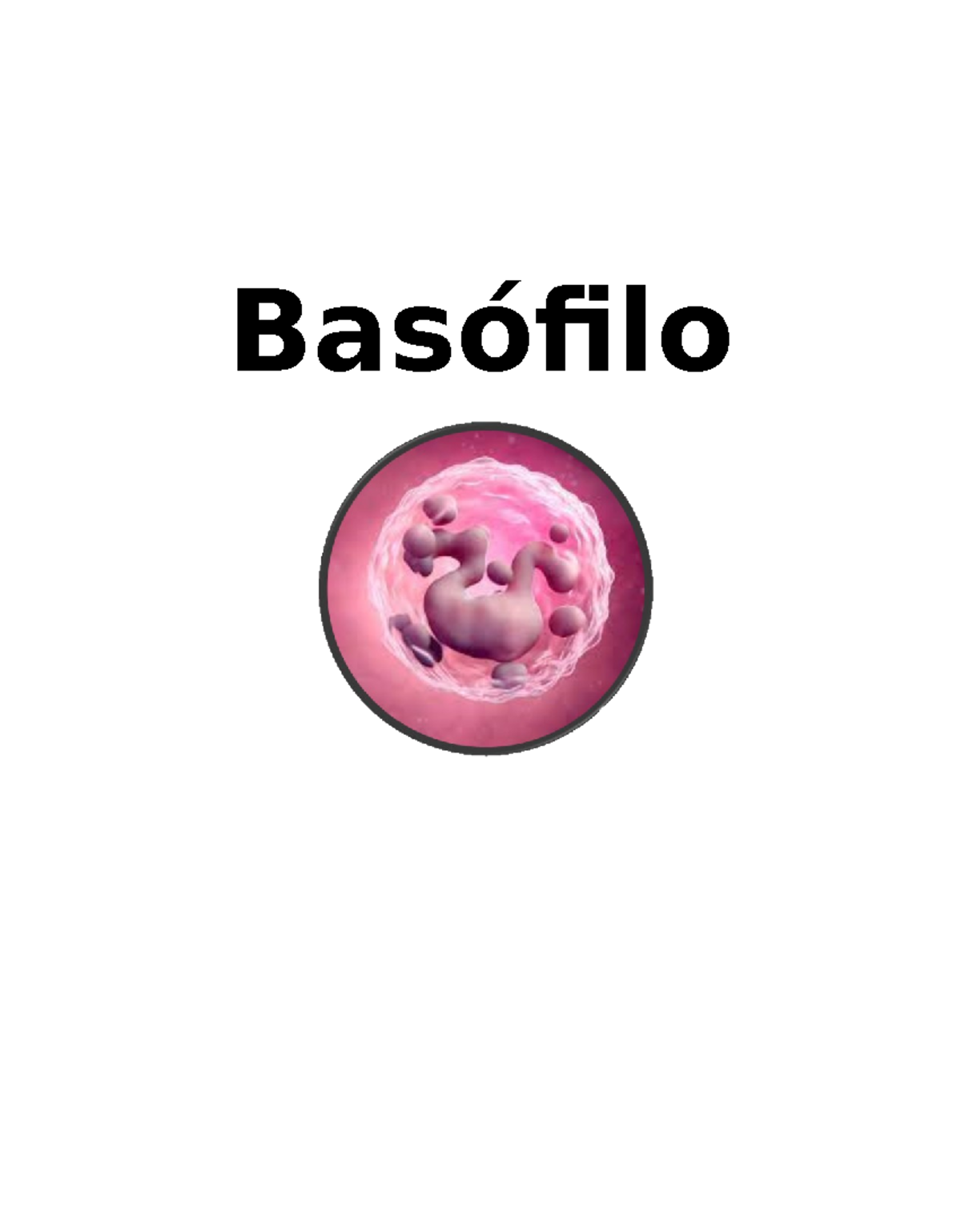 Basófilo - Basofilo, sus causas, como funciona, como se activa y mas ...
