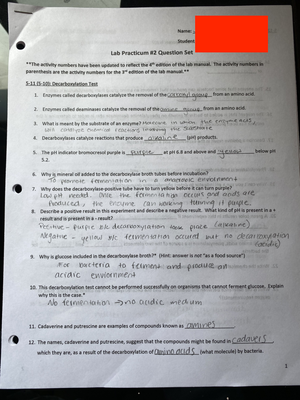Microbiology Unknown Project Report - UNKNOWN PROJECT REPORT Huong ...