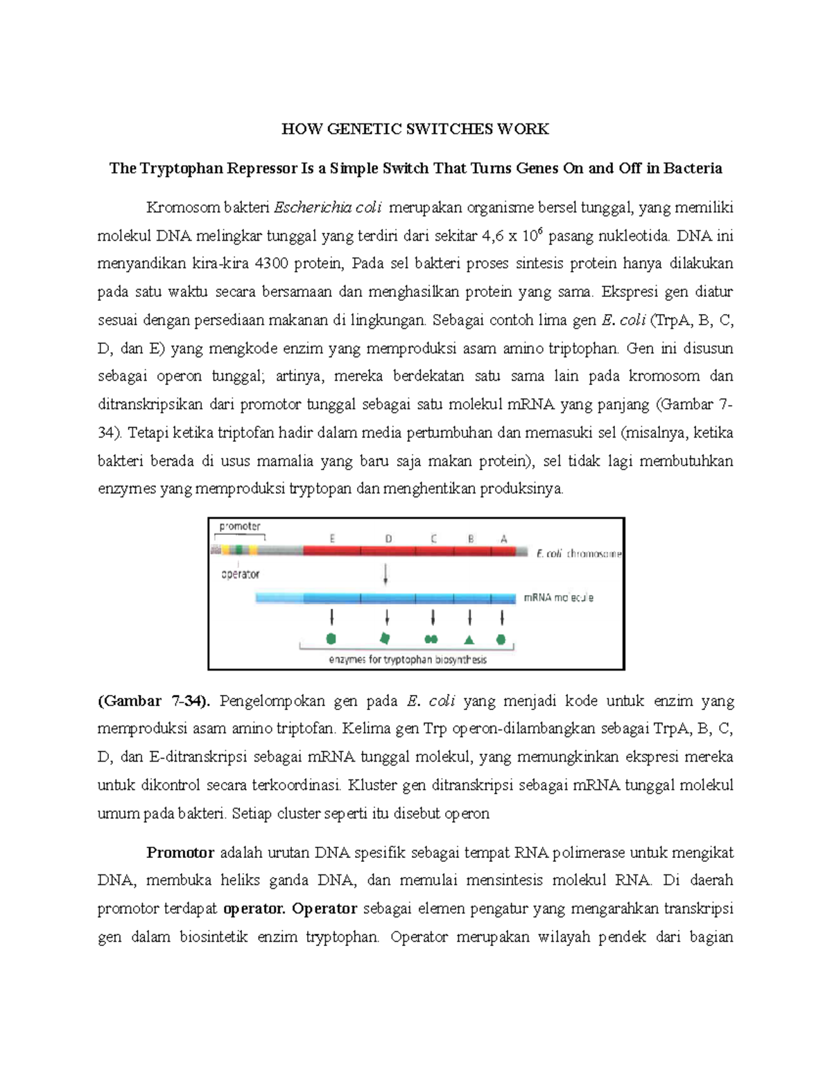 Biologi Sel - How Genetic Switches Work - HOW GENETIC SWITCHES WORK The ...