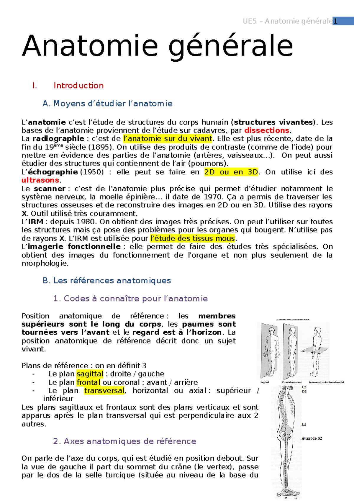 Anatomie générale - Professeur Morandi - Anatomie générale I ...