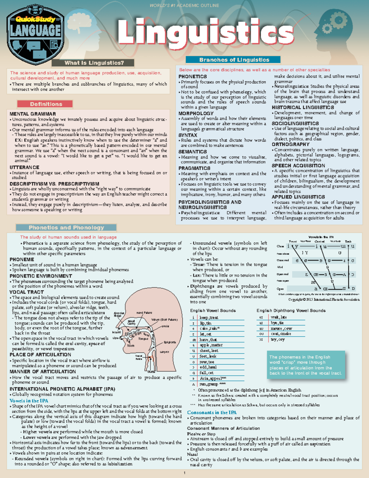 Linguistics (Quick Study Language) - Below are the core disciplines, as ...