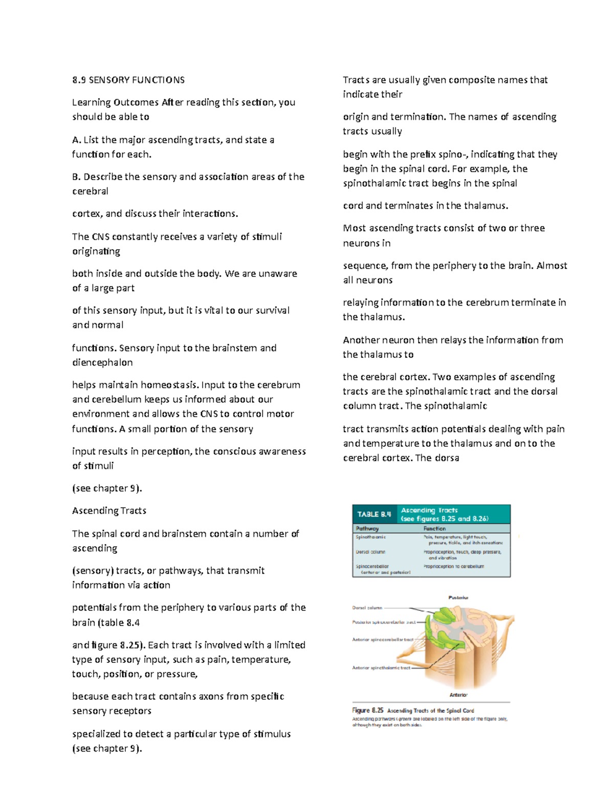 Seeley's Anatomy and Physiology Chapter 8.14 - 8 SENSORY FUNCTIONS ...