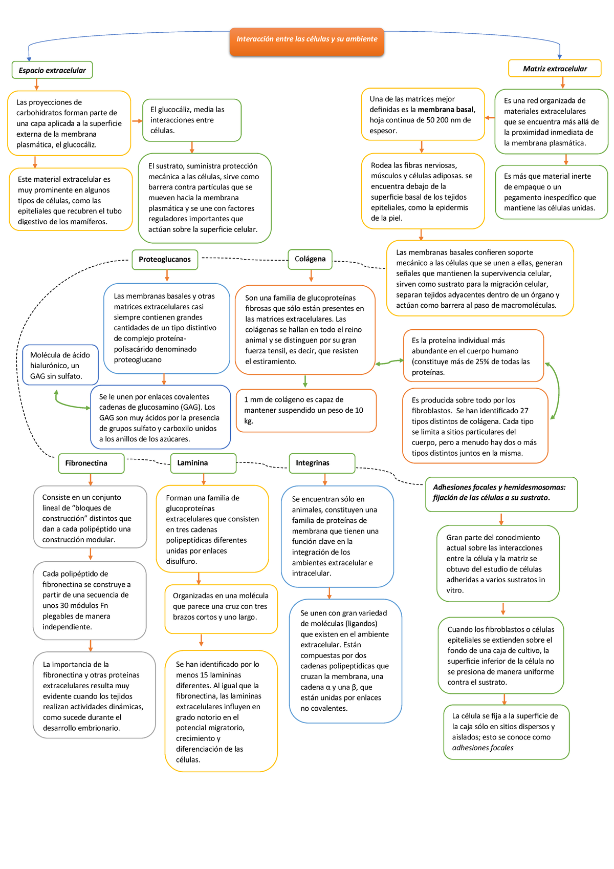 Cuadros sinópticos - Warning: TT: undefined function: 32 Warning: TT: undefined function: 32 ...