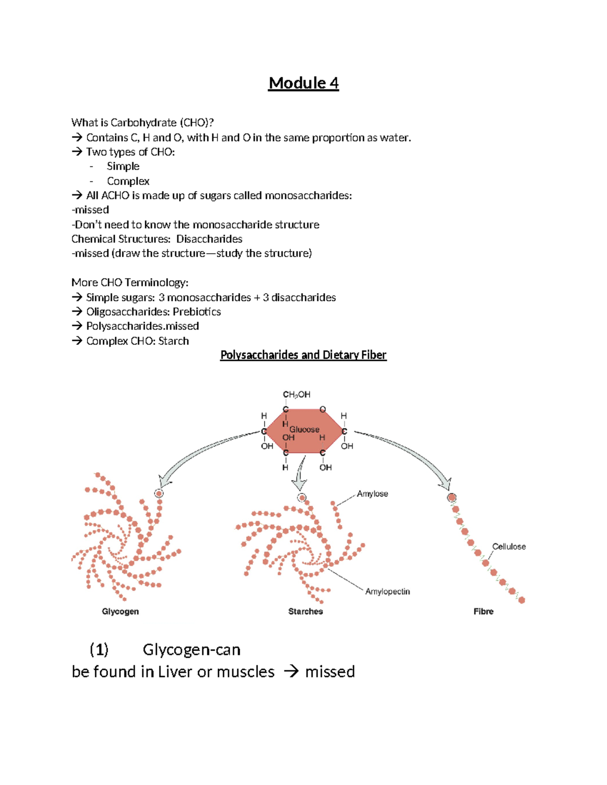 Module 4-Nutrition -Midterm 2 - Module 4 What is Carbohydrate (CHO ...