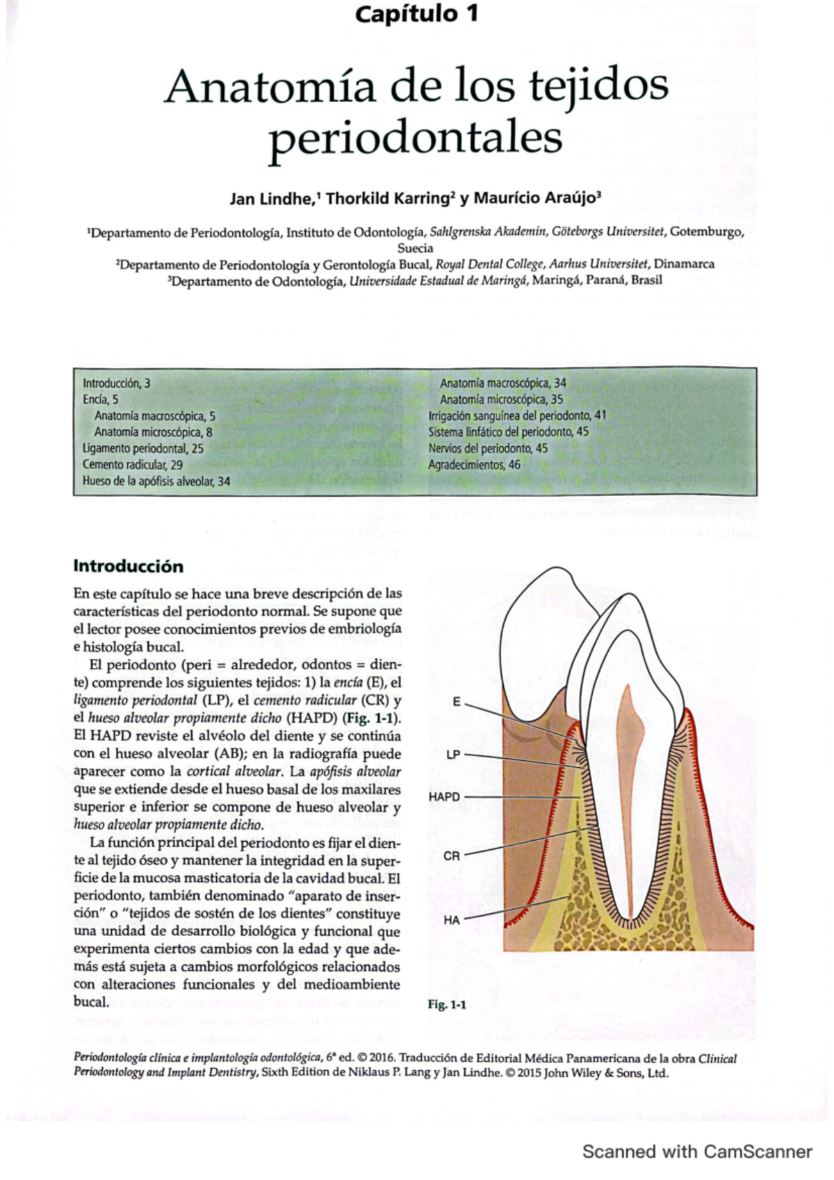 Capítulo 1 lang - .... - Capítulo 1 Anatomía de los tejidos ...