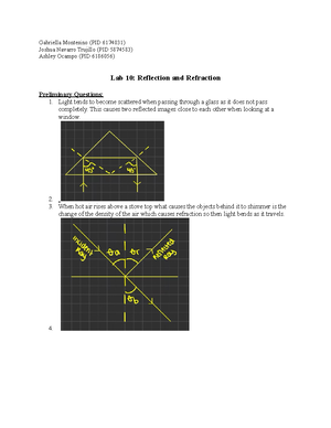 Lab Manual-PHY2049L - ................ - Florida International ...