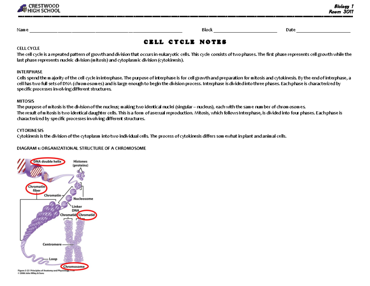 Cell Cycle Notes - Biology 1 Room 3011 - Studocu