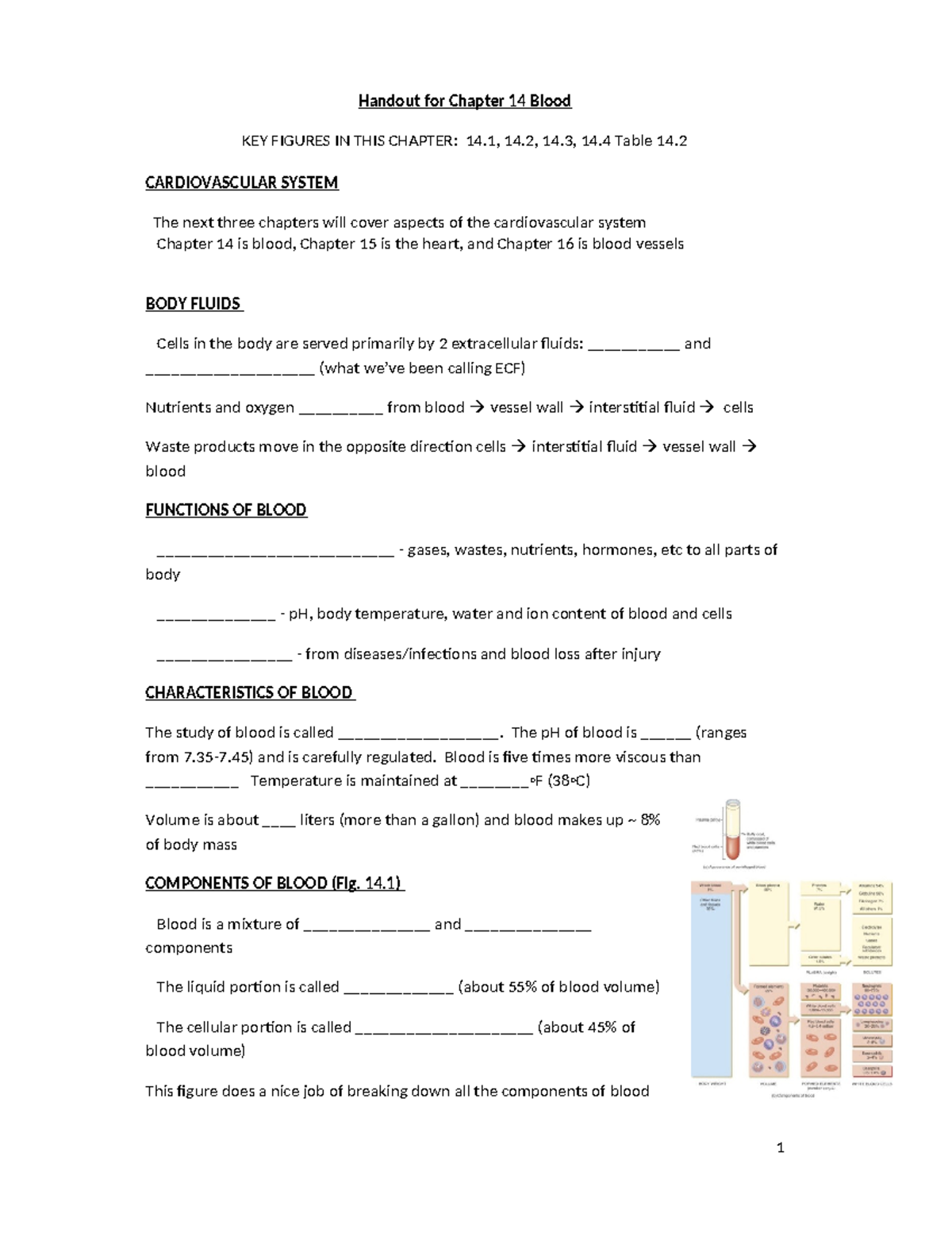 Chapter 14 Handout 2430 S19 - Handout for Chapter 14 Blood KEY FIGURES ...