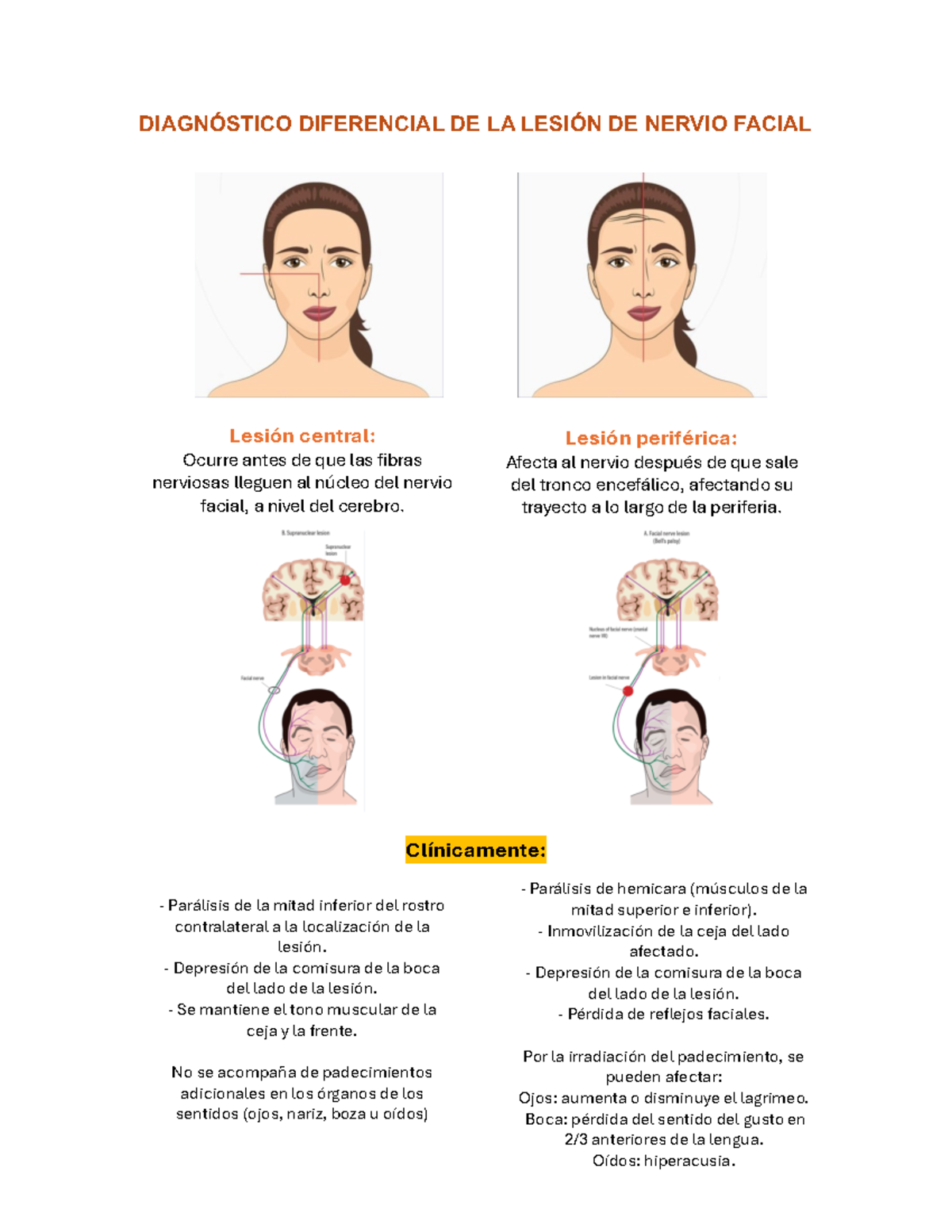 Dx de Nervio Facial - DIAGNÓSTICO DIFERENCIAL DE LA LESIÓN DE NERVIO FACIAL Clínicamente: Lesión ...