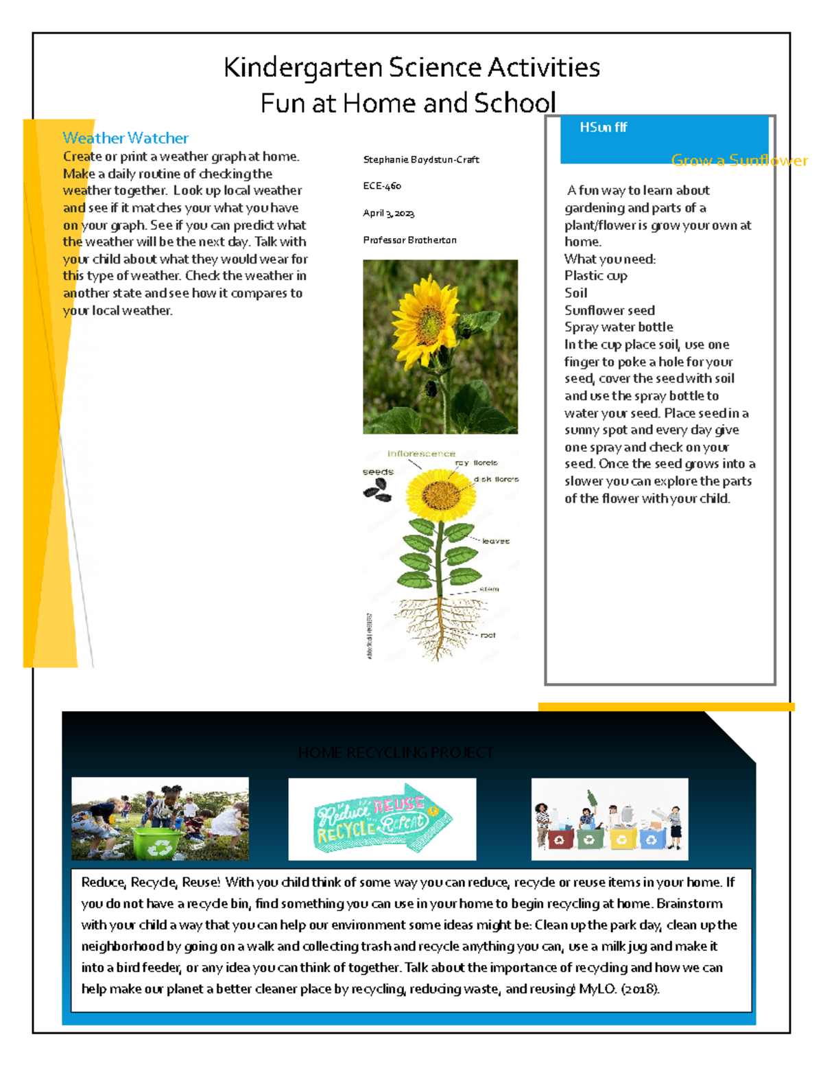 Science at home handout - Kindergarten Science Activities Fun at Home ...