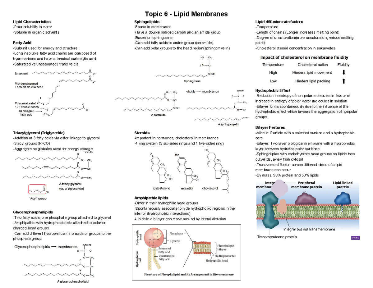 Biochem Cheat Sheet 6 - Topic 6 - Lipid Membranes Lipid Characteristics ...