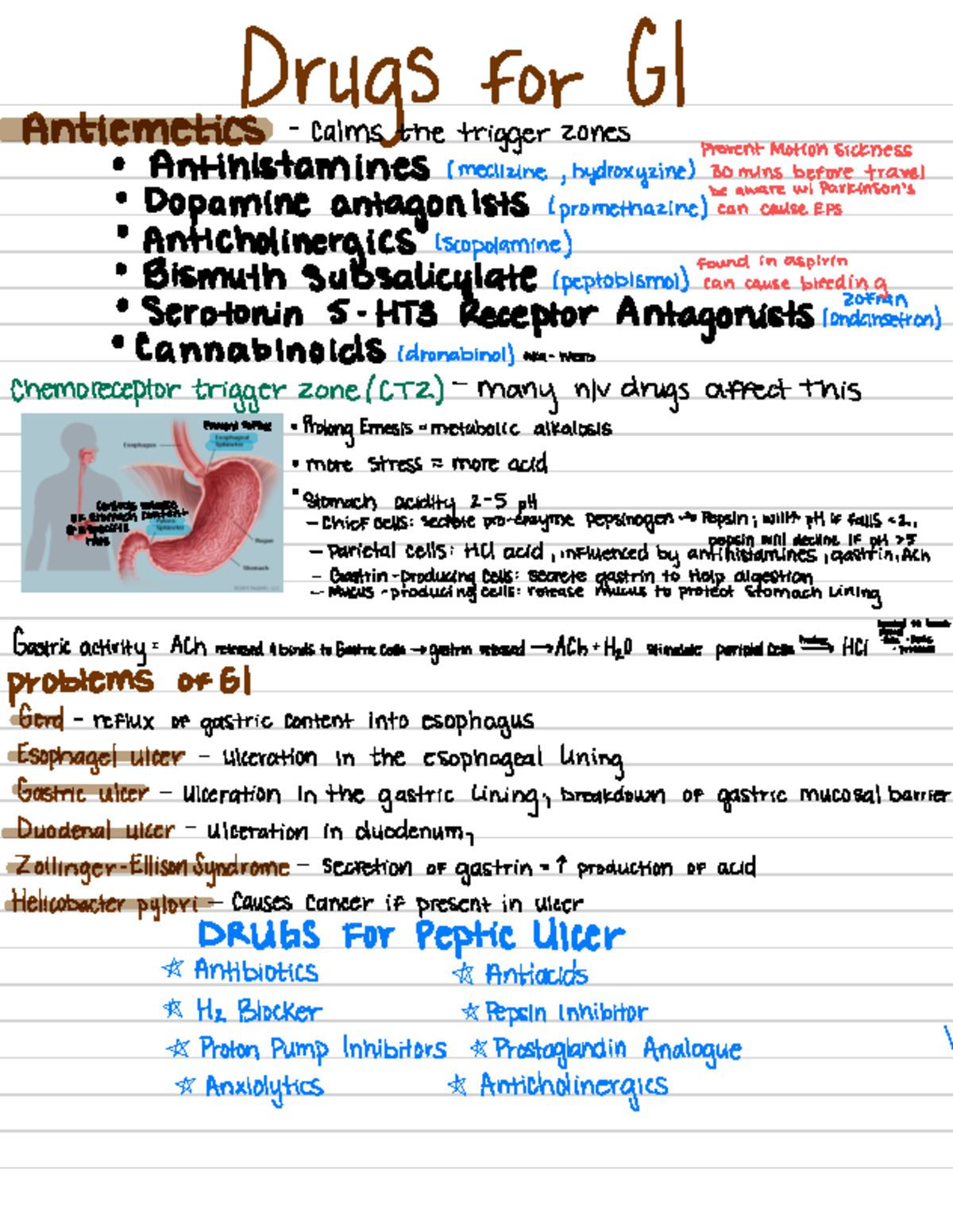 GI - Notes - Drugs for G Antiemetics - calms the trigger zones 4 ...