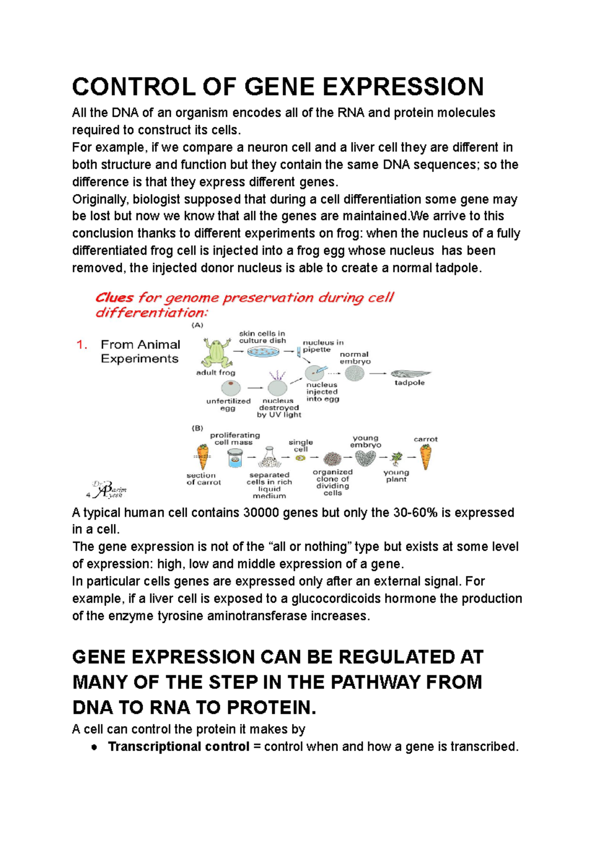 Gene expression part 1 - CONTROL OF GENE EXPRESSION All the DNA of an ...