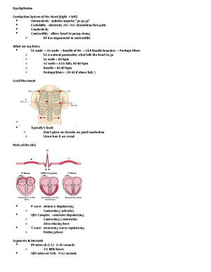 Tracheostomy - lecture and book notes - Tracheostomy PROBLEMS OF THE ...